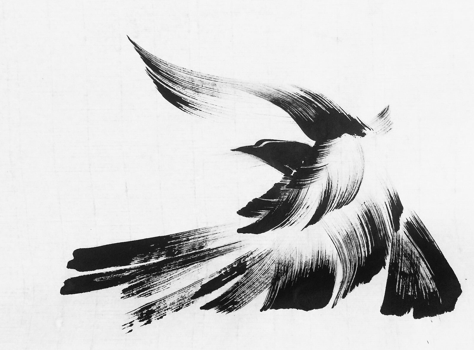 Conrad Jon Godly